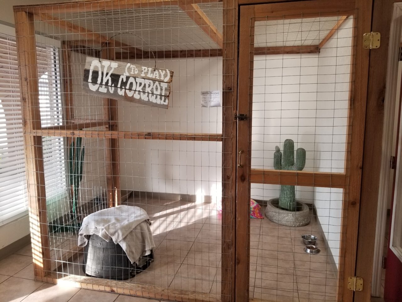 Cat Boarding Midland, TX 79705 - Animal Clinic at Mission Square